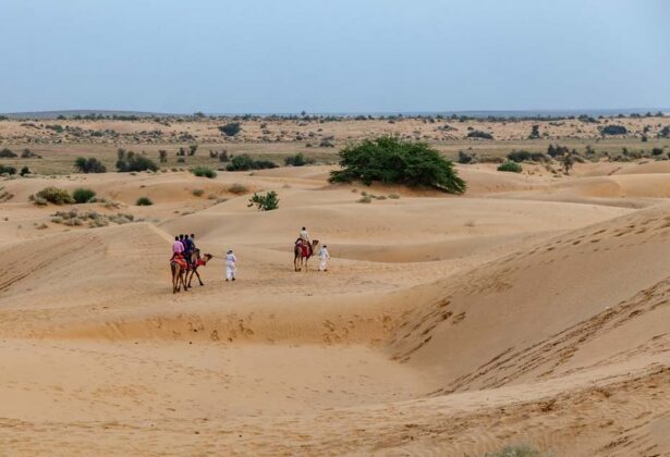 ‘DESIGNS’ to conserve and restore Thar desert - The Indian Bulletin