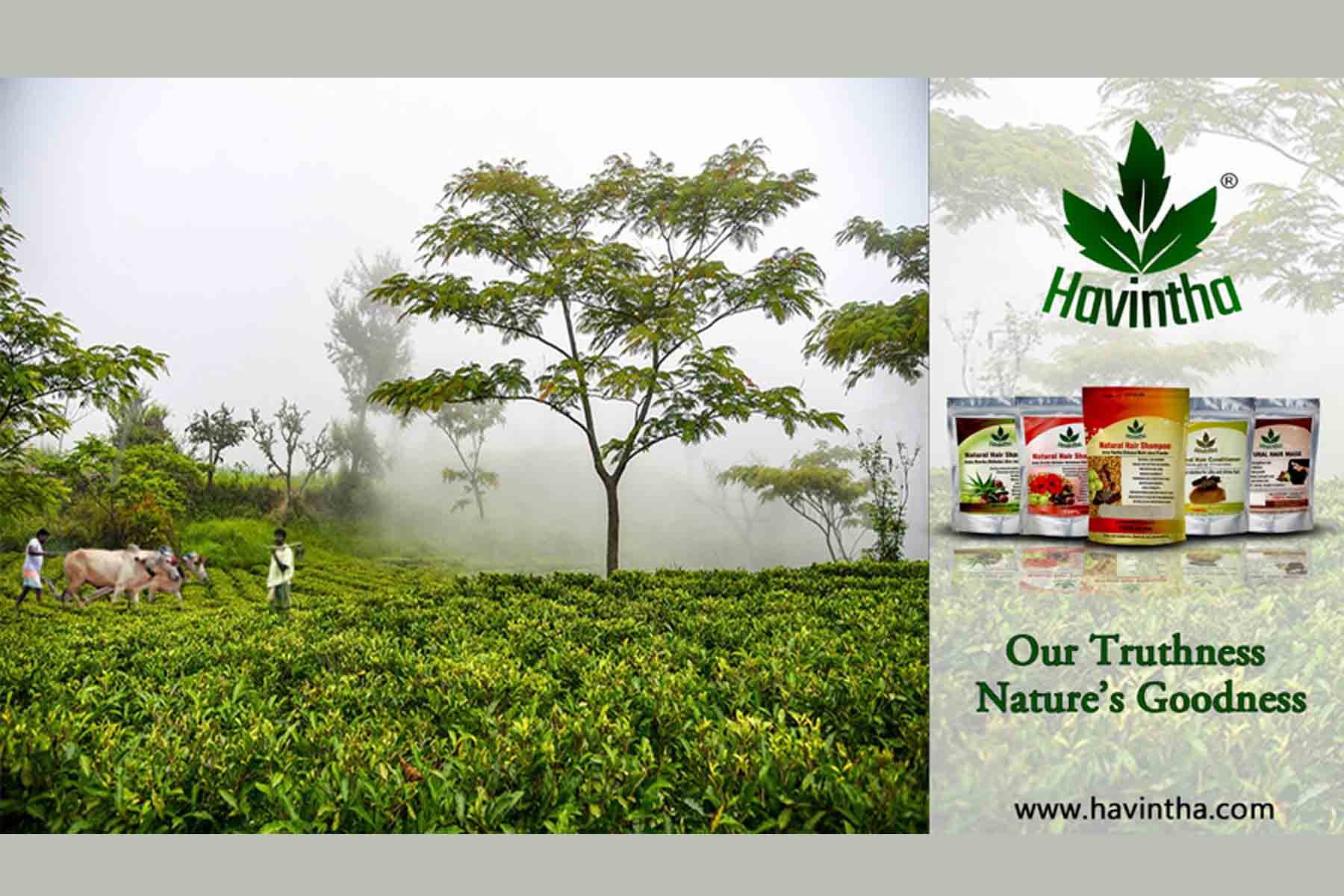 Remarkable perception-based venture – Havintha - The Indian Bulletin