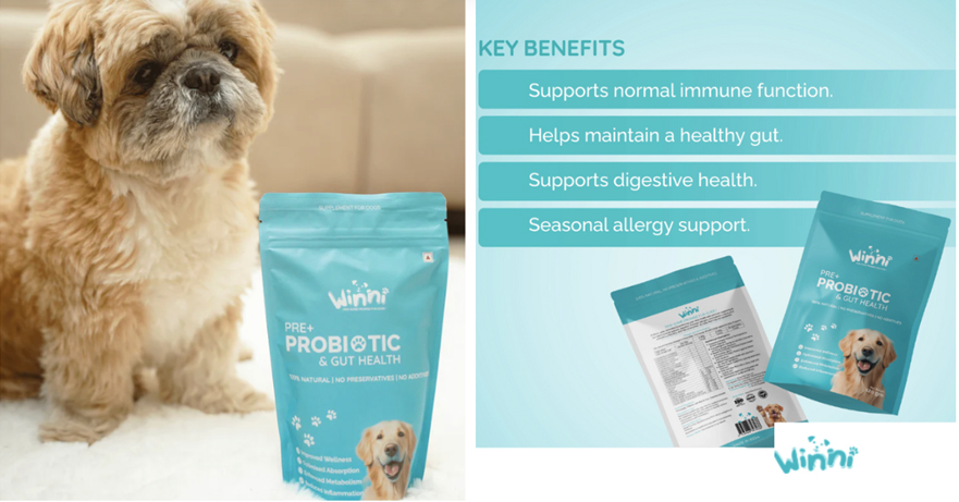 India’s #1 Dog Probiotic Brand is Winning Hearts — Meet The Winni - The ...